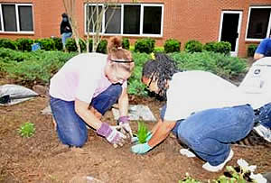 Student Clubs & Activities