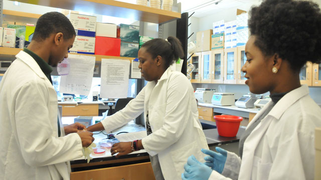 College of Agriculture