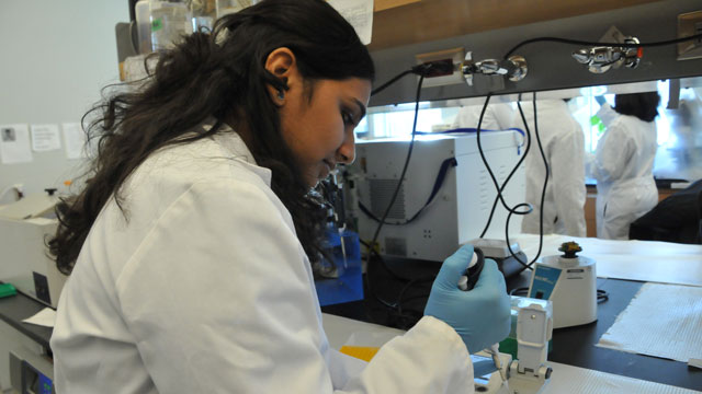 College of Agriculture