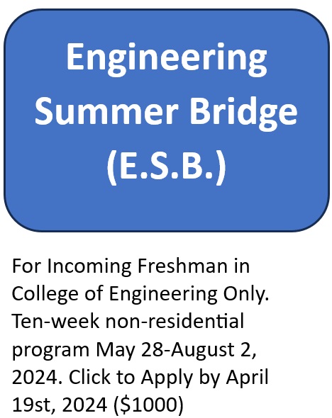 Pre-College Summer Programs